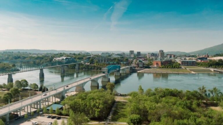 Tennessee Pharmacy Technician License: Your Ultimate Guide | Pharmacy ...